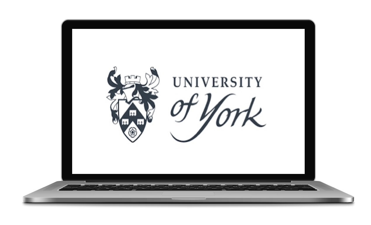 Lou Stringer Js Developer